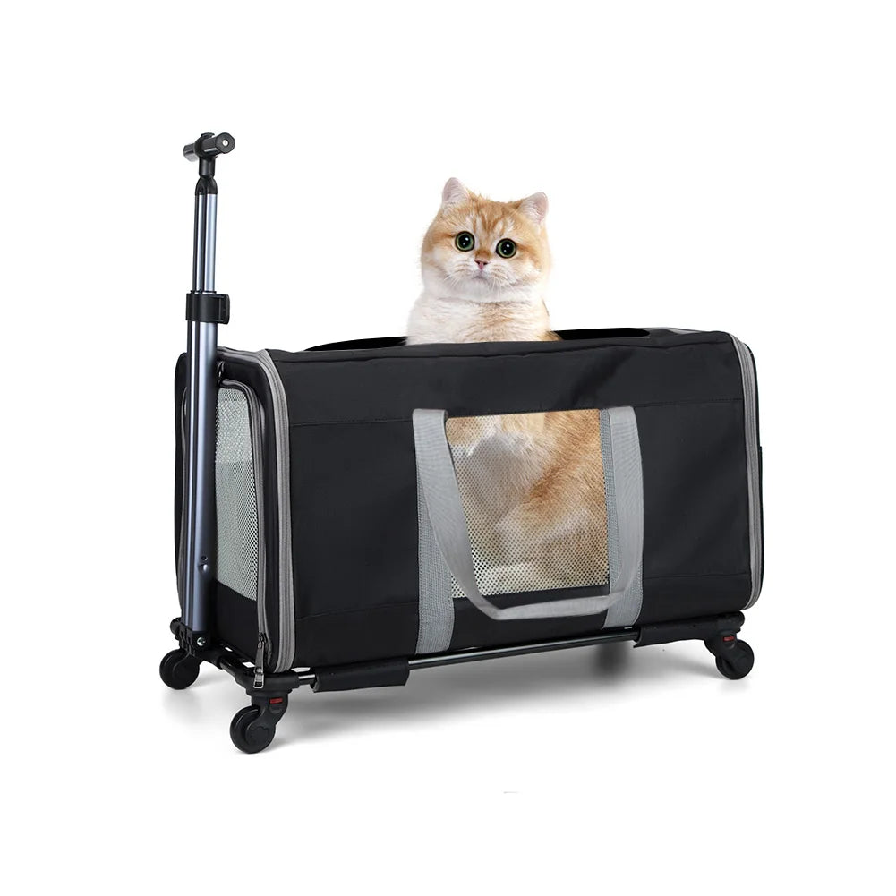 Cat trolley for 2 cats – Cat transport box large with wheels for 2 ani ...